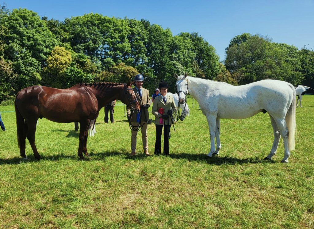 Mills Stables Retraining - National Racehorse Week