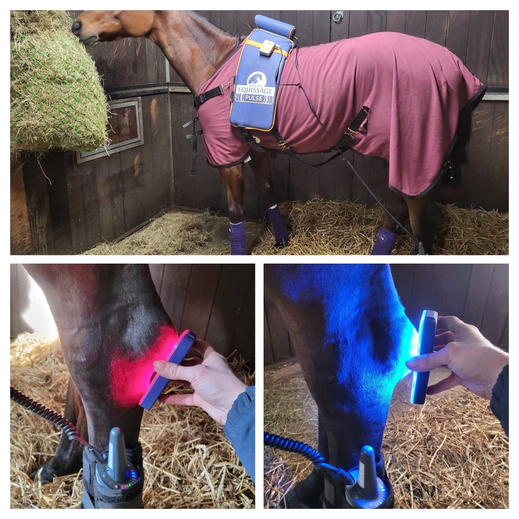 Mills Stables Retraining - National Racehorse Week