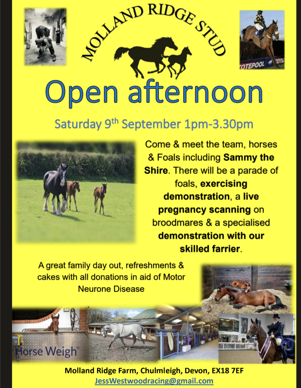 Molland Ridge Stud - National Racehorse Week