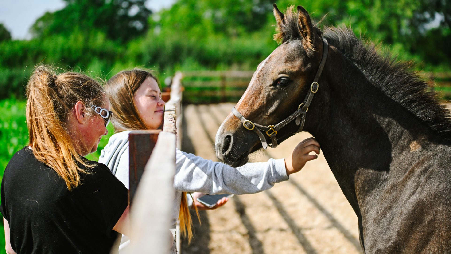 National Racehorse Week - Annual Racehorse Celebration