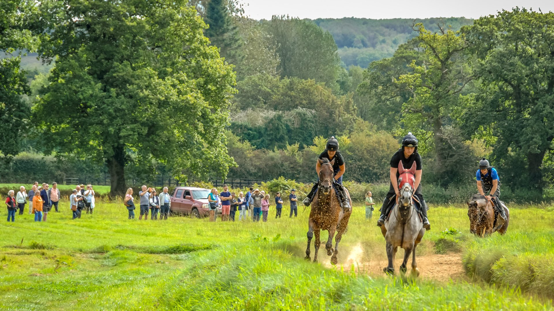 About - National Racehorse Week