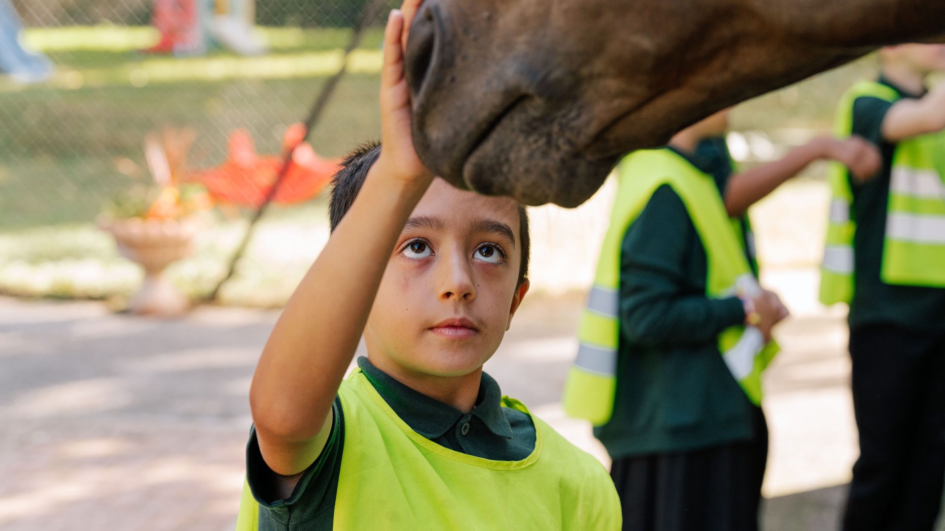 Community Events - National Racehorse Week