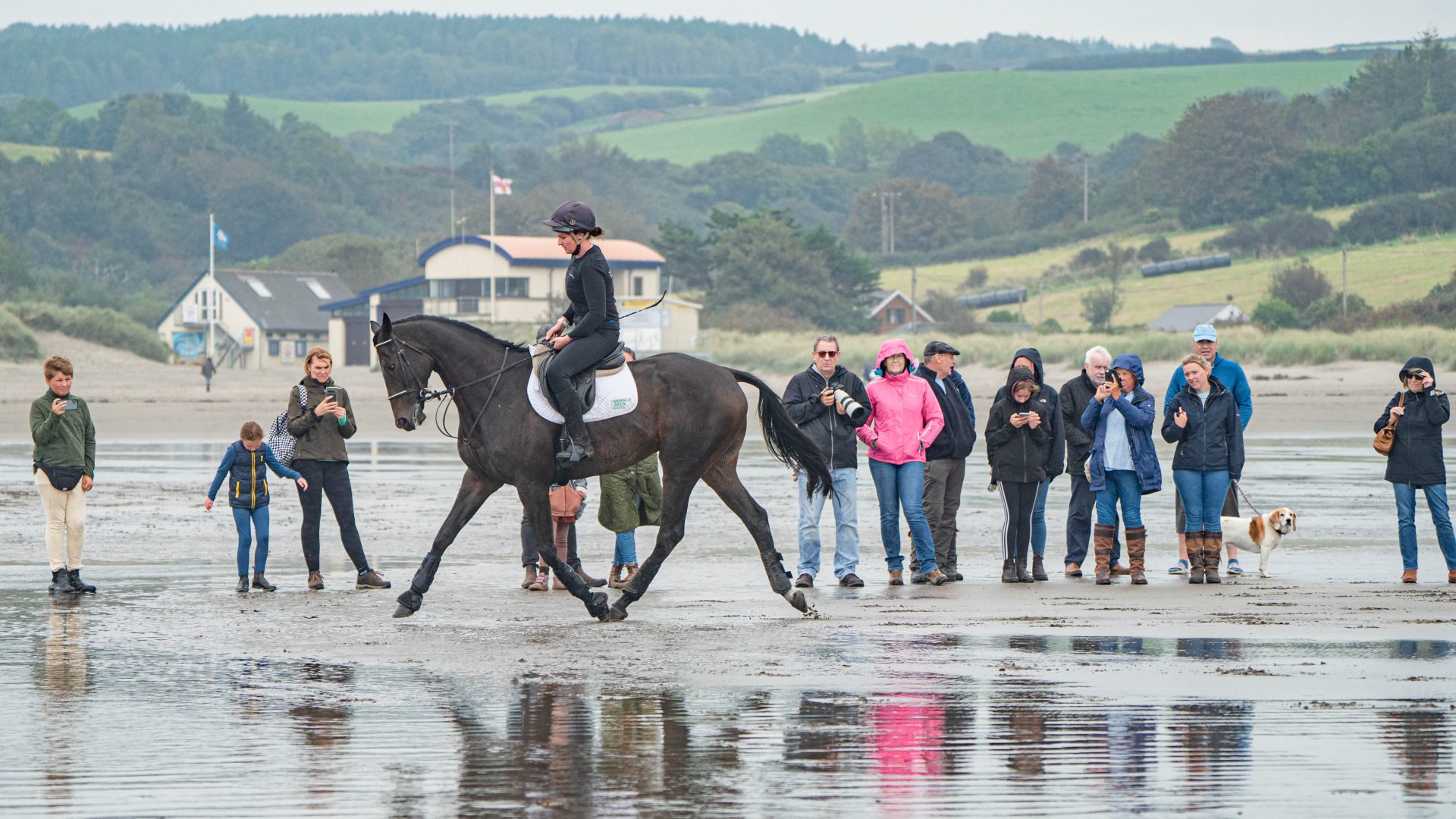 National Racehorse Week - Annual Racehorse Celebration