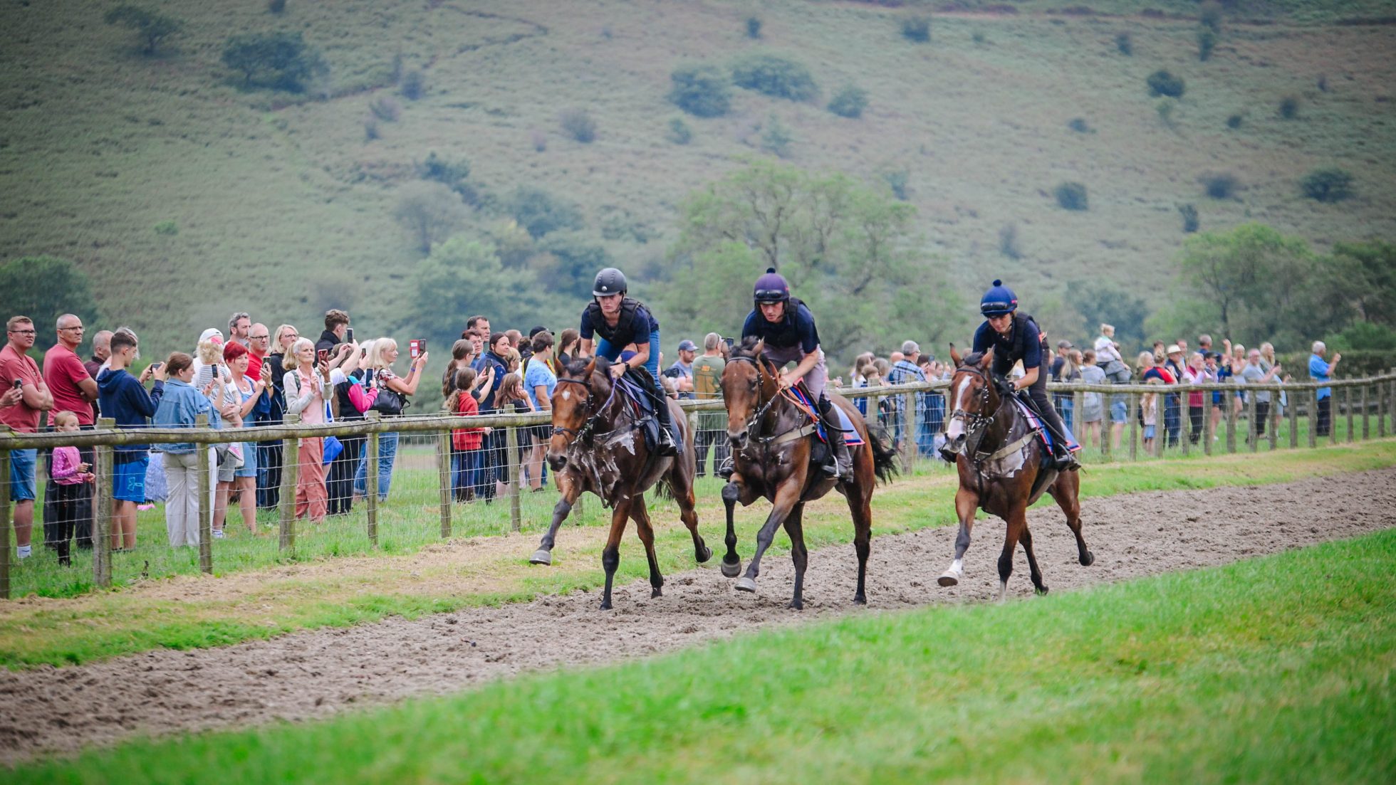 National Racehorse Week - Annual Racehorse Celebration