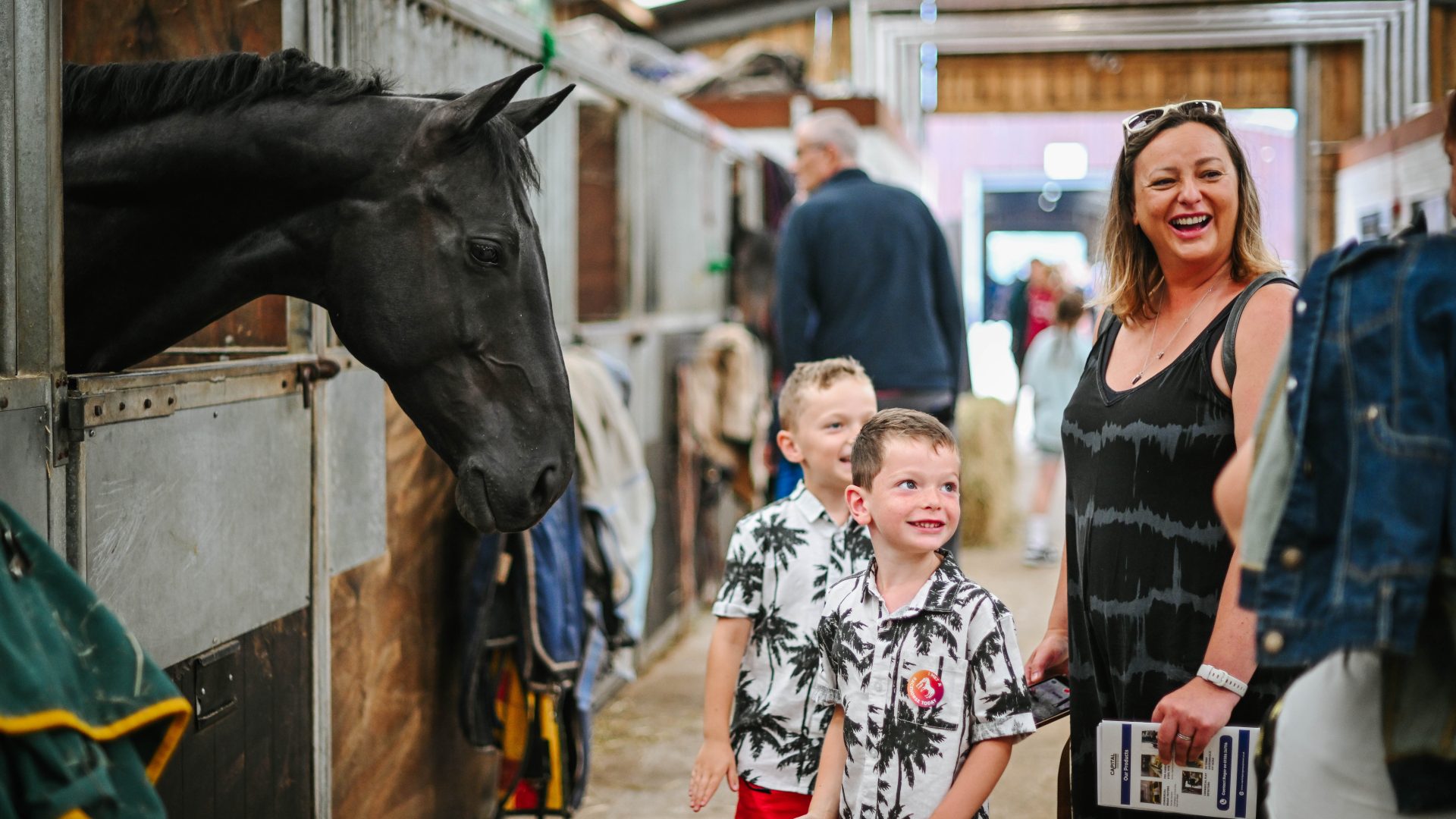 National Racehorse Week - Annual Racehorse Celebration