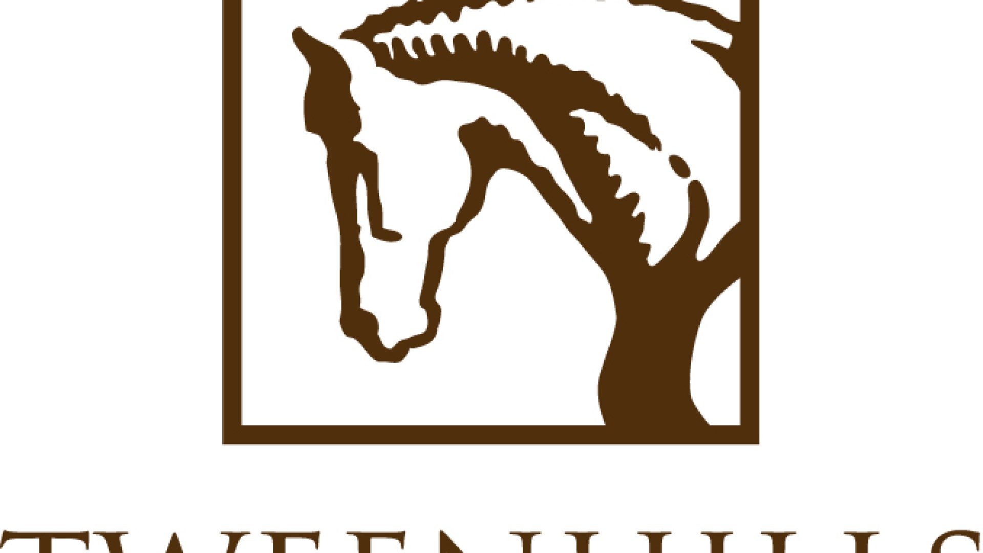 Tweenhills Stud - National Racehorse Week