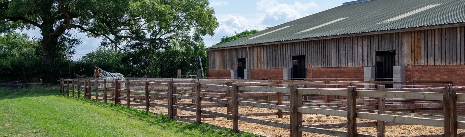 Craig Lidster - National Racehorse Week