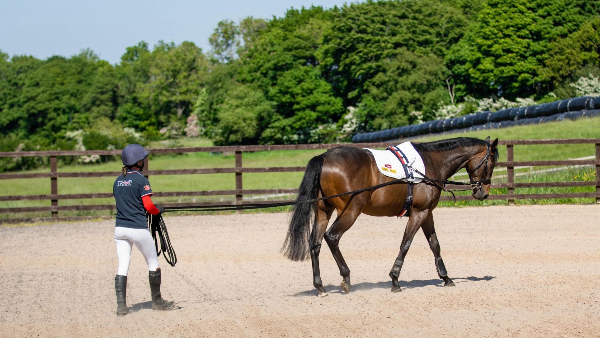 The British Thoroughbred Retraining Centre - National Racehorse Week