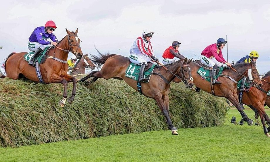 Tom Ellis - National Racehorse Week