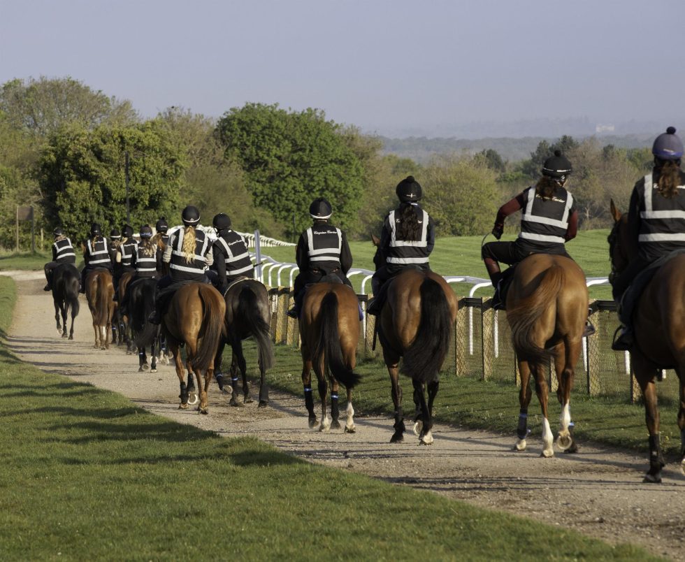 Downs House, Epsom - National Racehorse Week