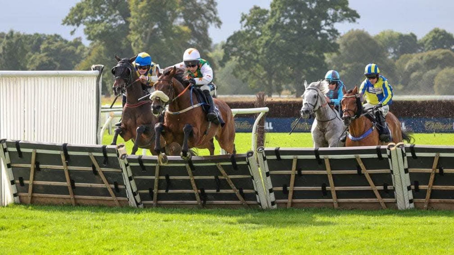 Patrick Neville Racing - National Racehorse Week