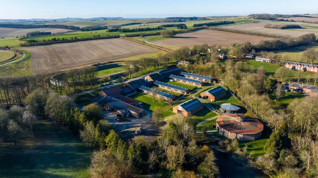 Astor Yard, Manton Estate - National Racehorse Week