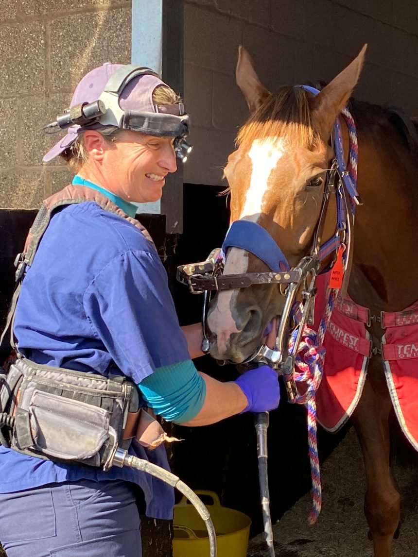 Laura Morgan Racing - National Racehorse Week