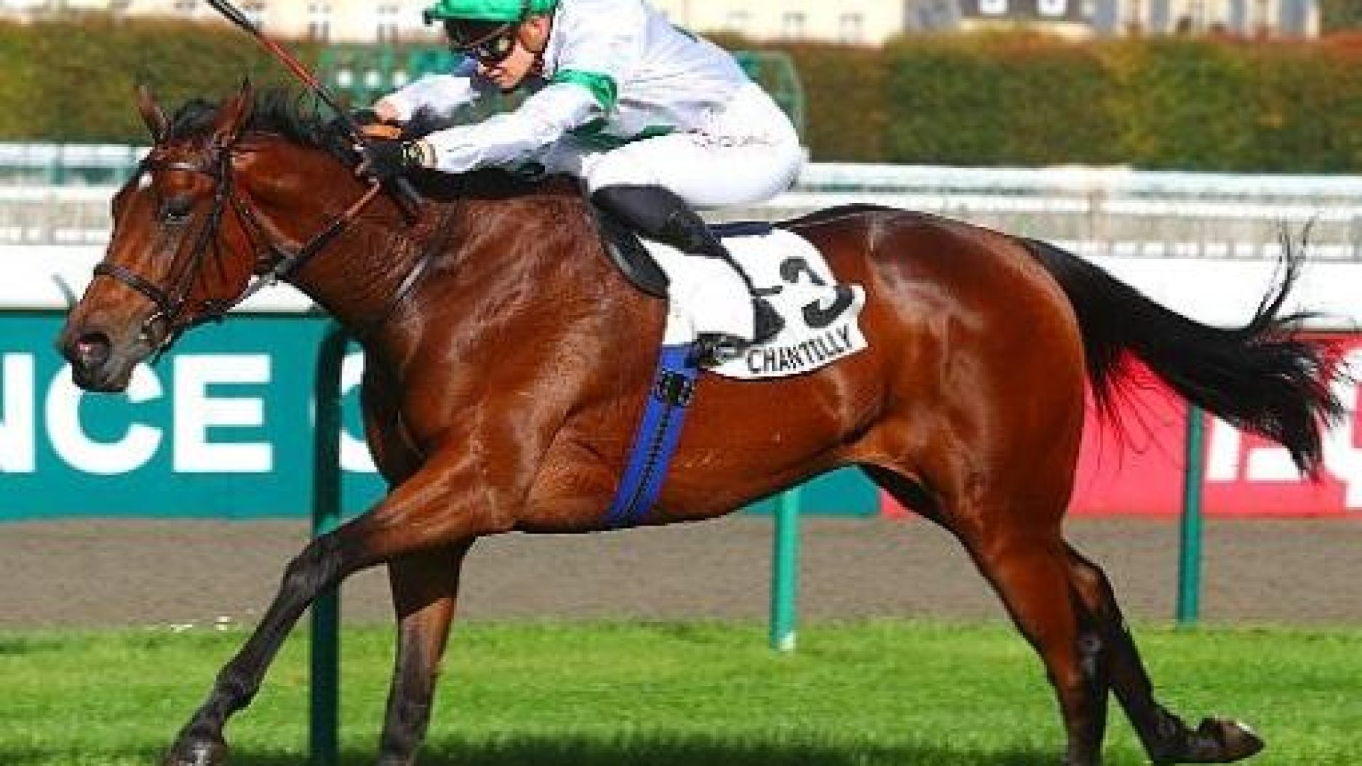 Coombelands Racing Stables - National Racehorse Week