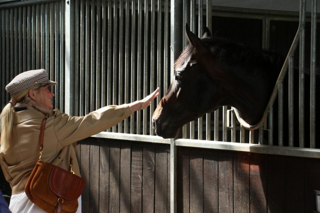 Manor House Stables - National Racehorse Week