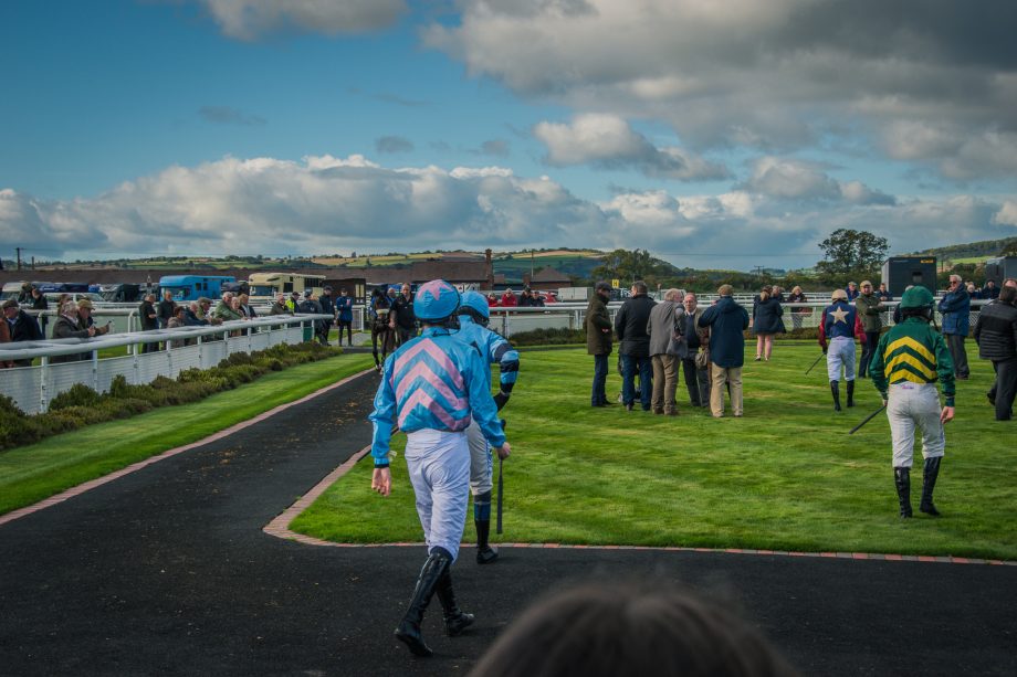Ludlow Racecourse - National Racehorse Week
